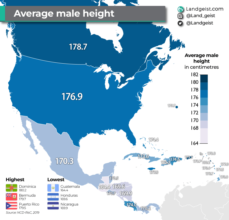 Average Male and Female Height in North America – Landgeist
